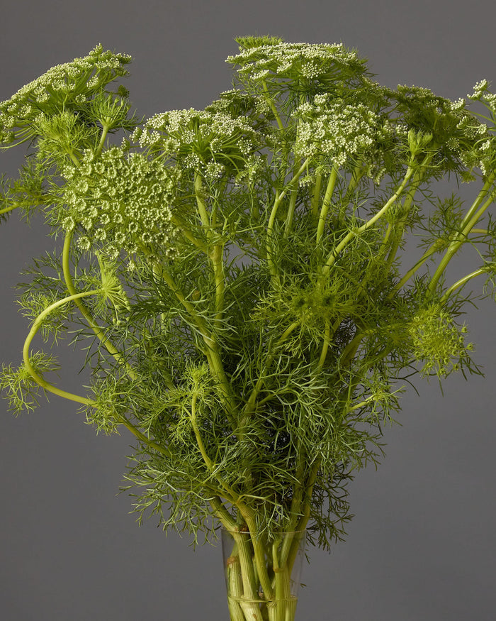 Welcome to Garden Club