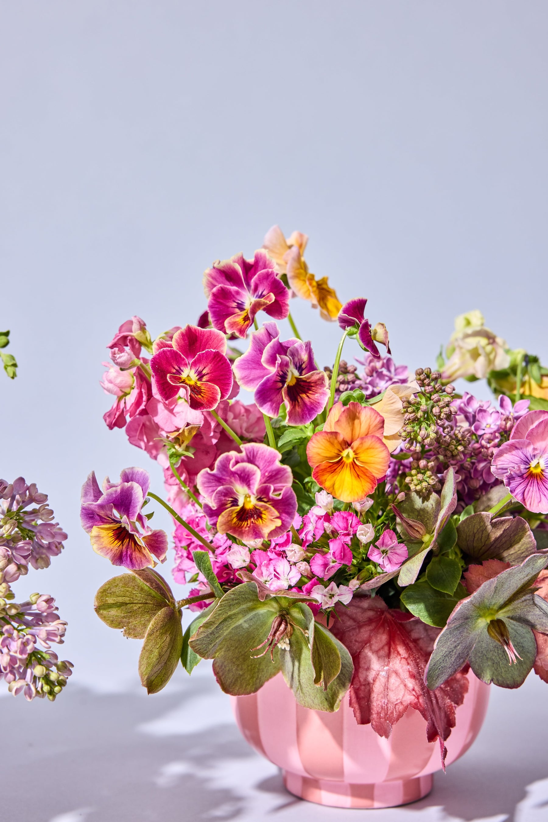 Garden Club